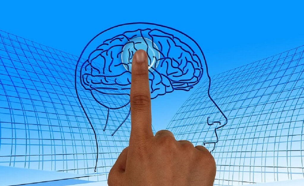 The BRAIN-SKIN Axis – Happy Healthy You